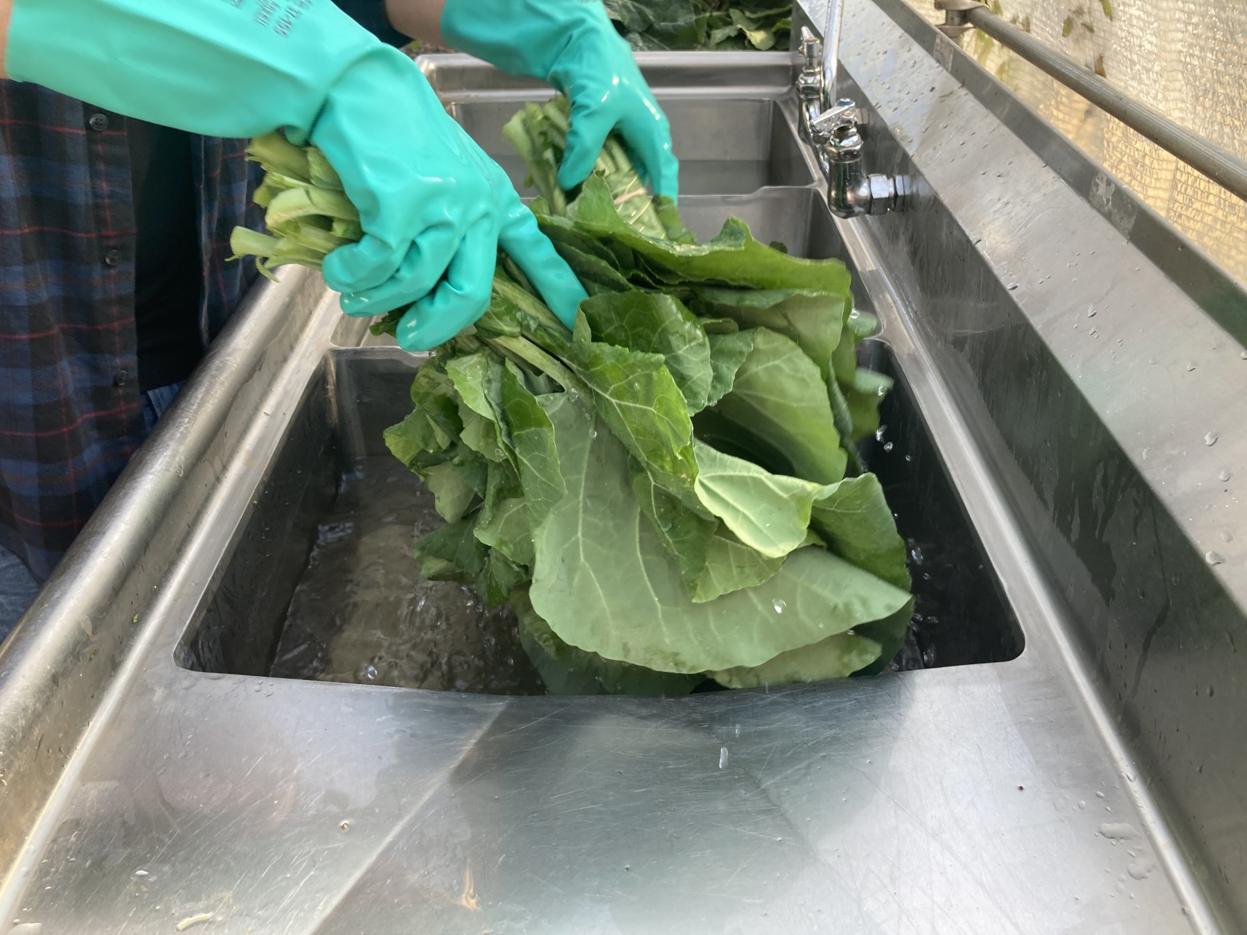 Community Food Hub | UGArden